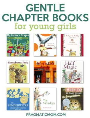 Chapter Books for a Young Girl
