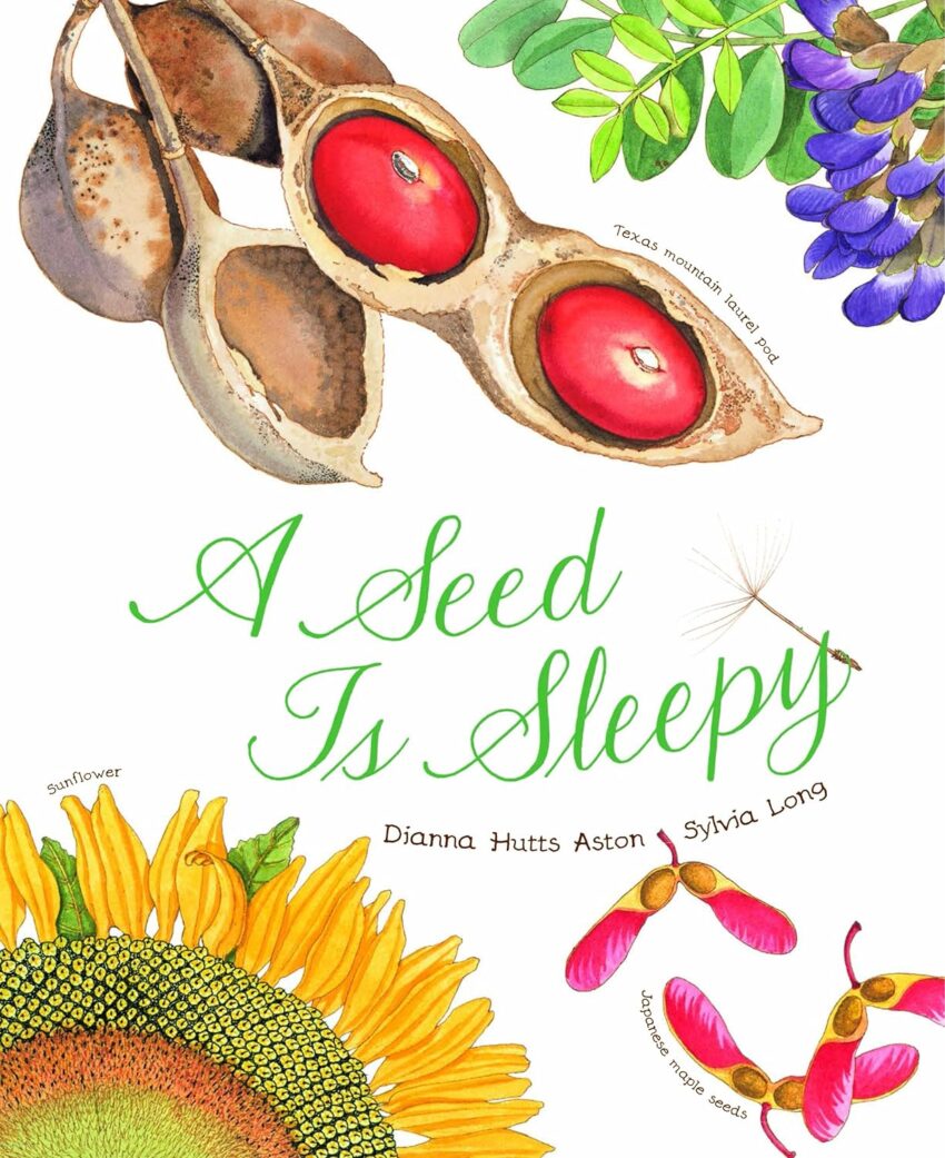 Top 10: Best Picture Books for Spring - Pragmatic Mom