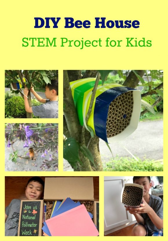 DIY Bee House STEM Project for Kids - Pragmatic Mom