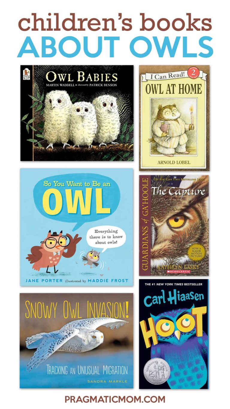 7 Baltimore the Snowy Owl & Owl Books for Kids - Pragmatic Mom