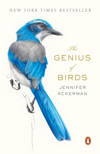 21 Great STEM Bird Books for Bird-Watching Kids - Pragmatic Mom