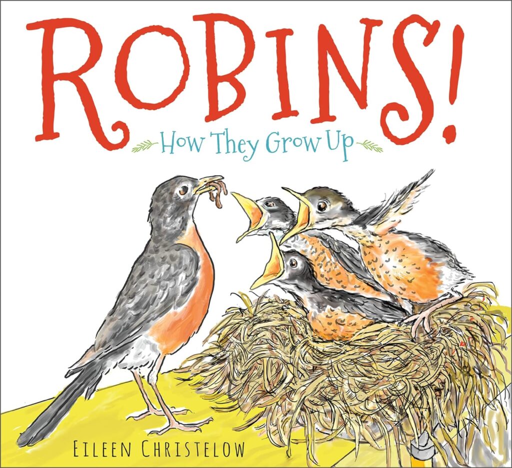 21 Great STEM Bird Books for Bird-Watching Kids - Pragmatic Mom