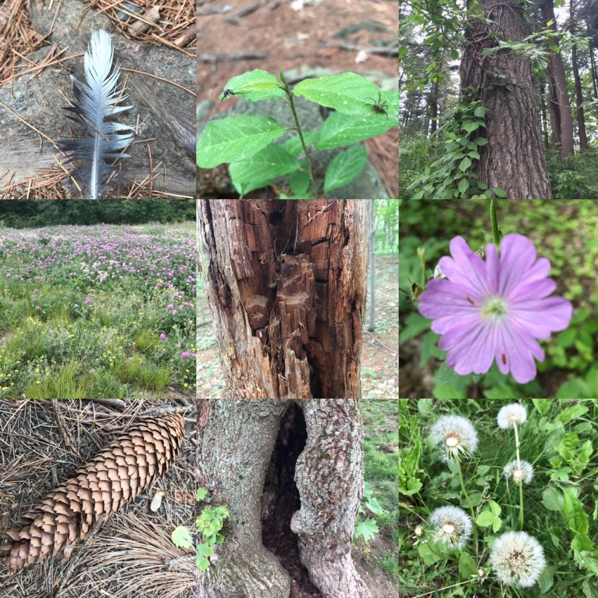 Let's Play Outside! Scavenger Hunt, Picnic & Book List for Kids ...