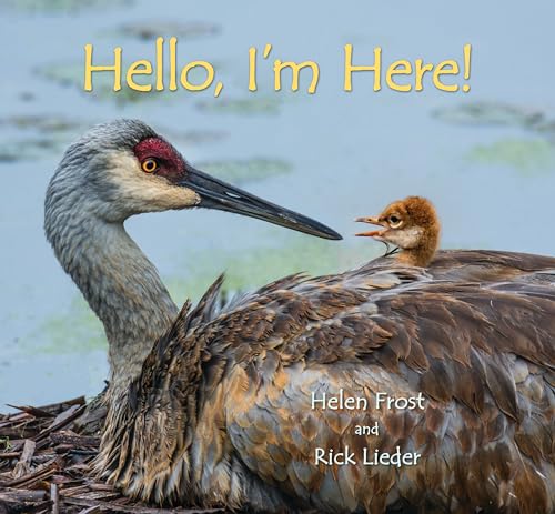 20 Great STEM Picture Books paired with Fun Activities - Pragmatic Mom