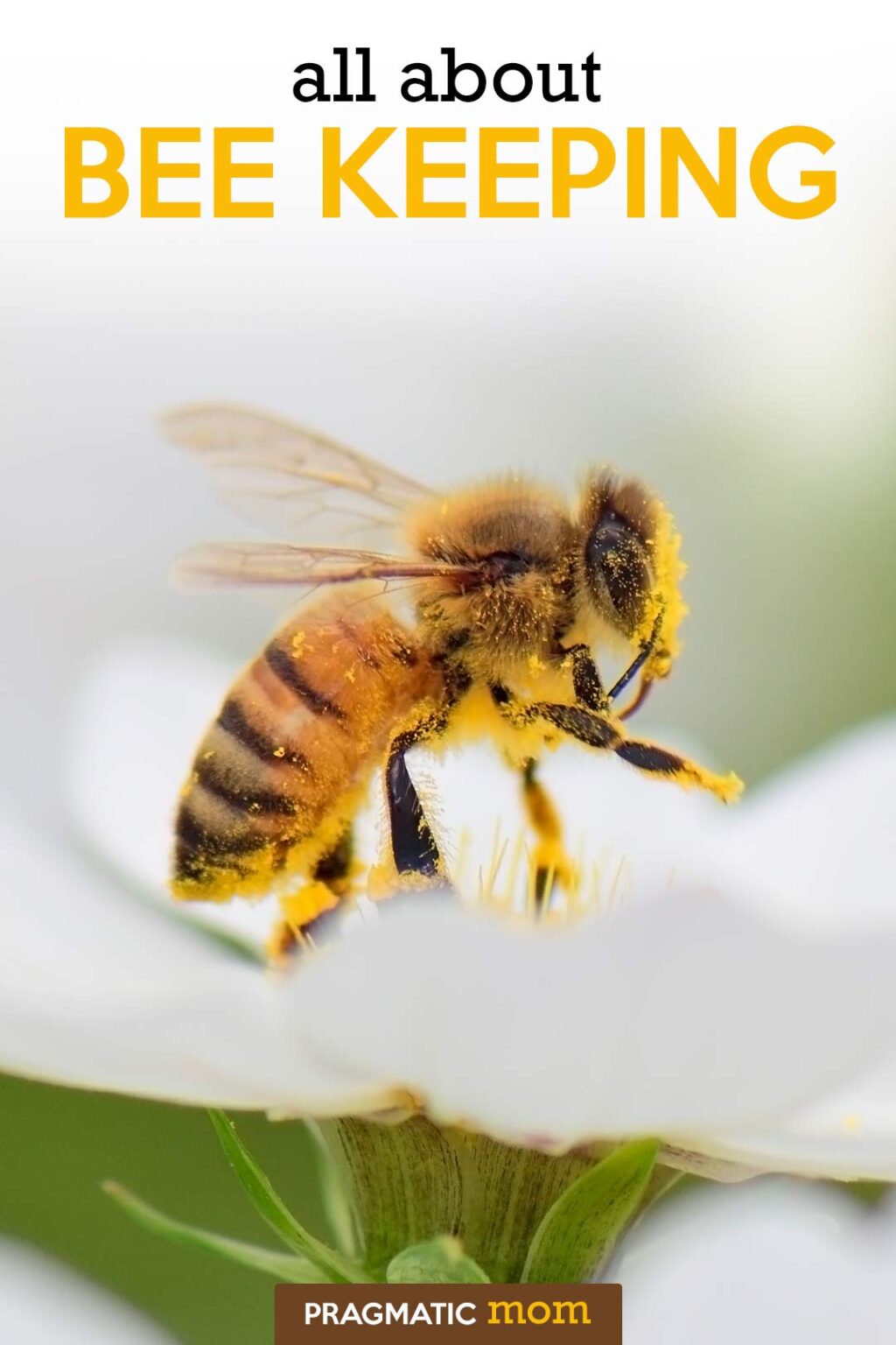 All About Bee Keeping - Pragmatic Mom
