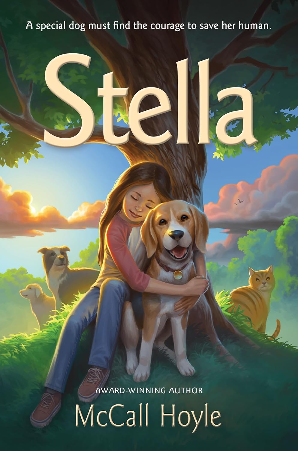 26 Foster Care Themed Books for Tweens - Pragmatic Mom