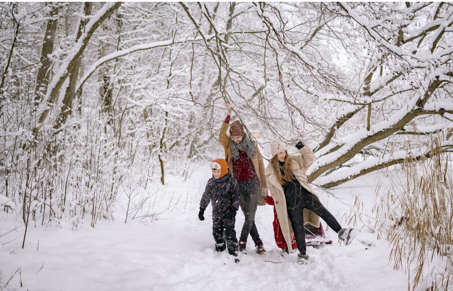 Three Fun Ways To Create Joy This Winter - Pragmatic Mom